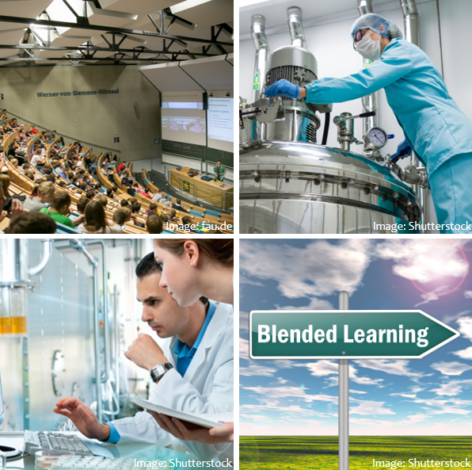 International Online Workshop: Particle Technology and Product Design ...